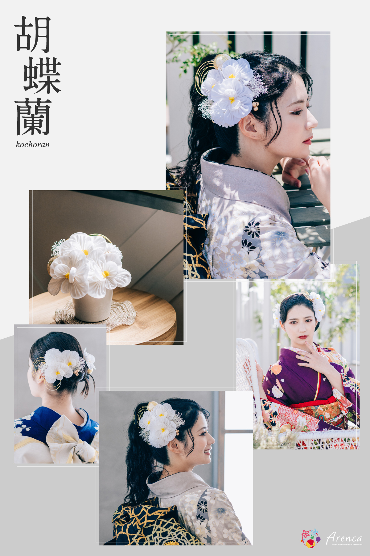 Arenca No.8386 胡蝶蘭 ウエダウェブ